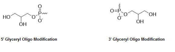 Glyceryl Oligonucleotide Modification